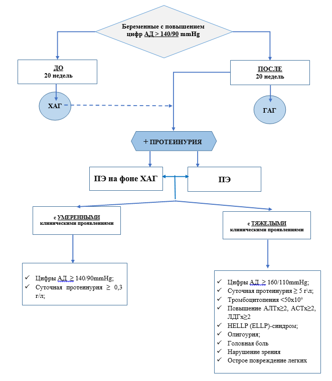 Отеки, протеинурия и гипертензивные расстройства во время беременности ...